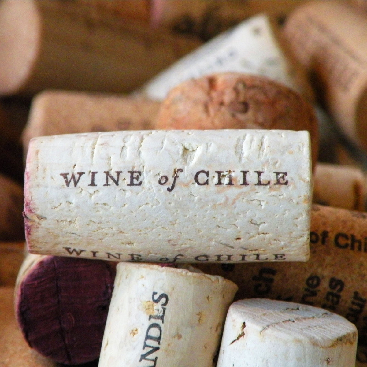 Chile – Kolonaki Fine Wines & Spirits